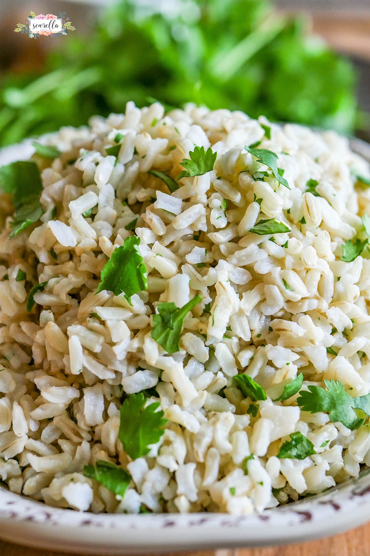 Cilantro Lime Brown Rice • Sewrella